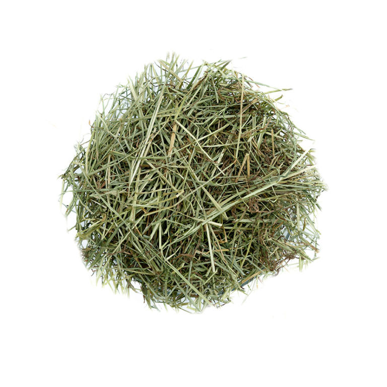 Buy Rye Grass Hay For Small Pets - The Hay Shed