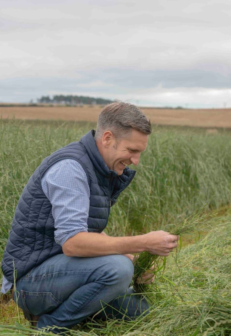 About The Hay Shed | Growers of Premium Hay In The UK
